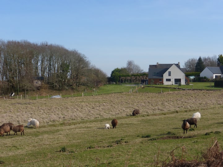 La Campagne à 5 Minutes De La Mer - Plouhinec