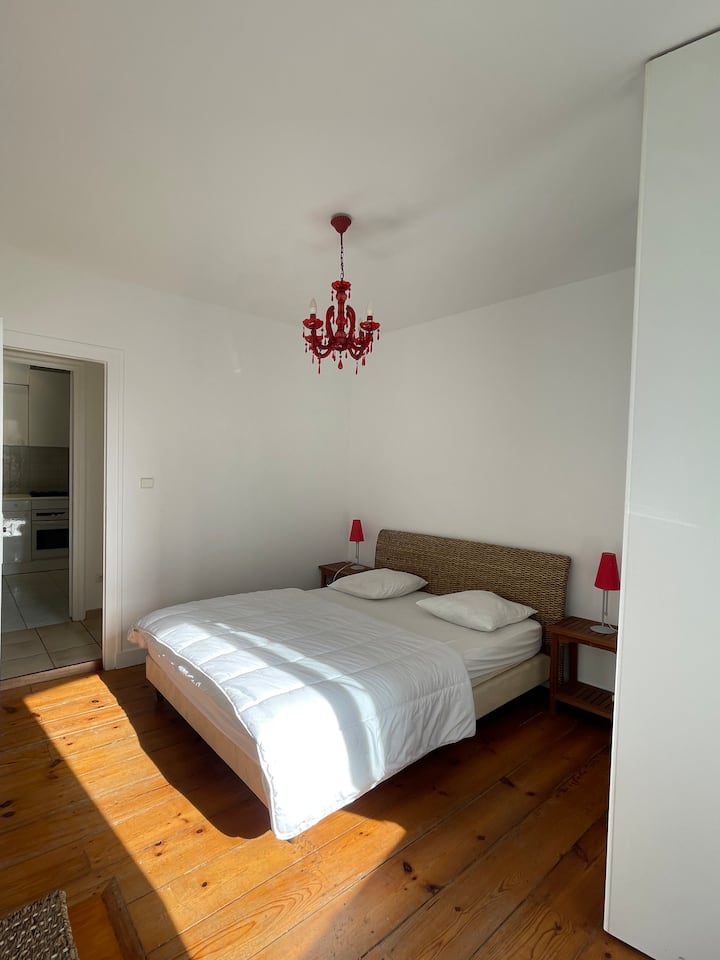 T3 Entre Centre Et Plage - Hendaye