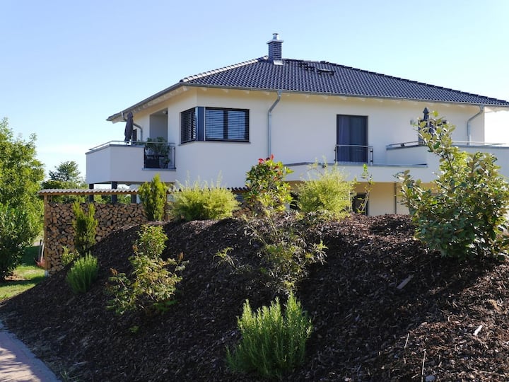 Pinot Gris à La Maison De Vacances Lehmättle - Ihringen