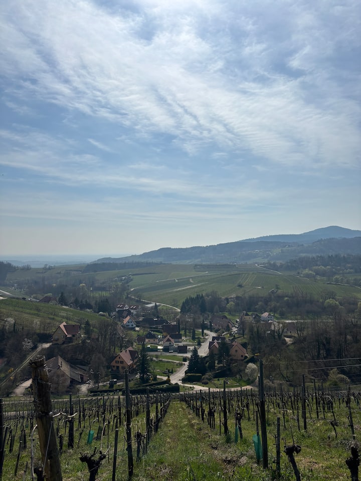 Maison Hansel&gretel - Vignoble D'alsace - Barr
