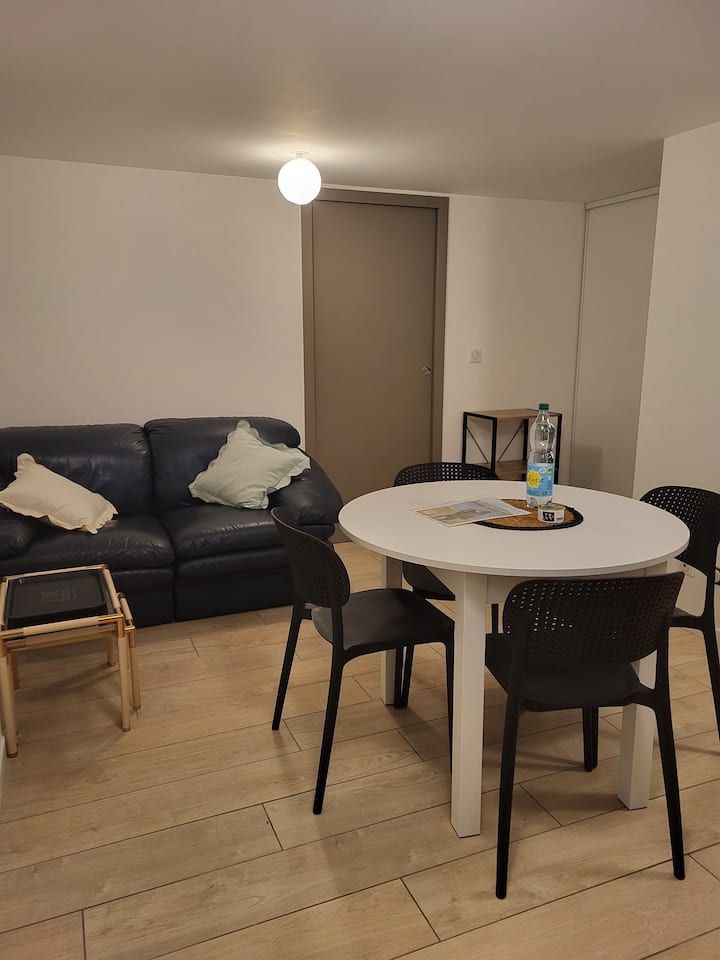 Appartement Cosy - Centre De La Salvetat-sur-agoût - La Salvetat-sur-Agout