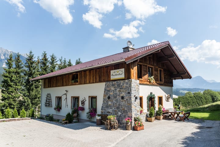 Mountainstreet Apartment - Schladming