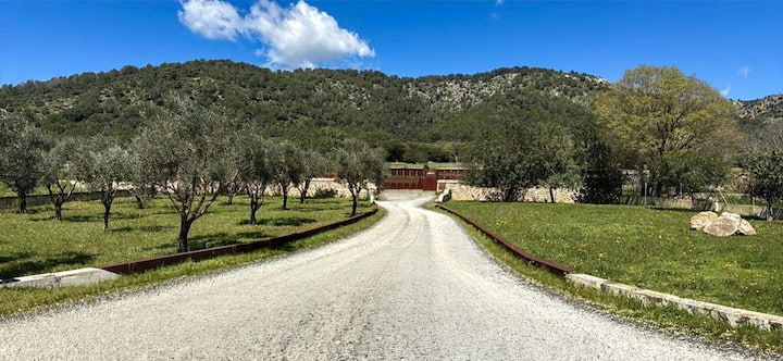 Son Barba - Pollença