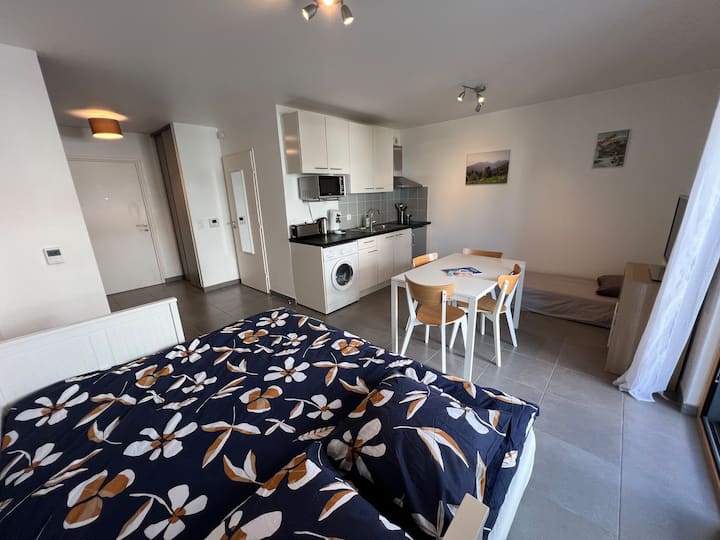 Appartement éLégant Très Proche Lac Et Esplanade - Aix-les-Bains