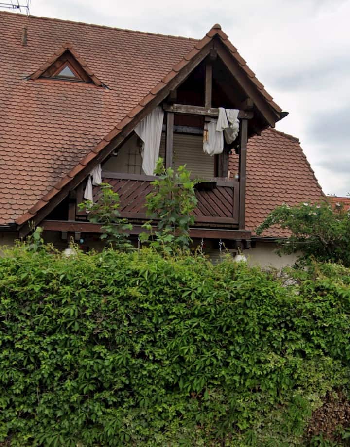 Sonnennest Zienken - Neuenburg am Rhein