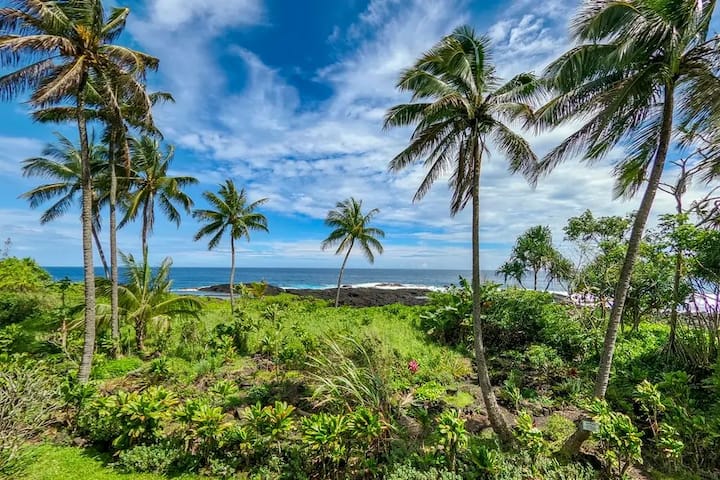 Historic Hilo Home With Ac & Lush Tropical Gardens - Hilo, HI