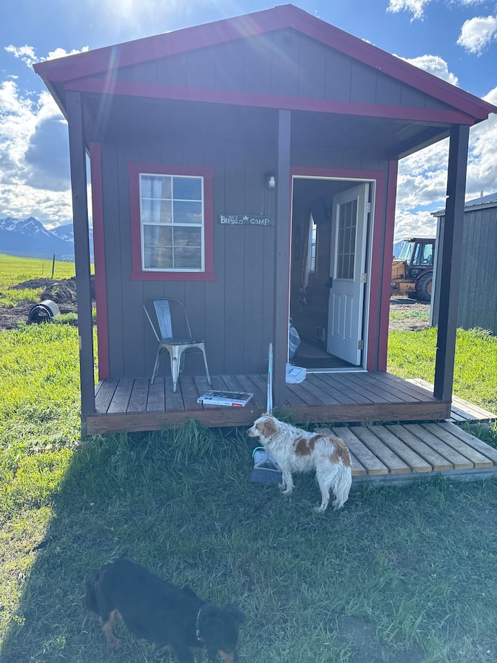 Buffalo Camp - East Glacier Park, MT