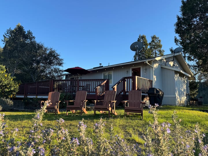 Napa Wine Country Retreat - Villa - Calistoga, CA