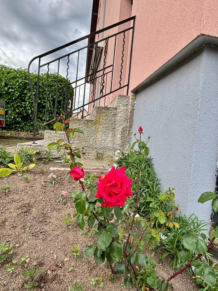 Le Petit Nid Alsacien, Avec Un Zeste Du Sud - Schirmeck