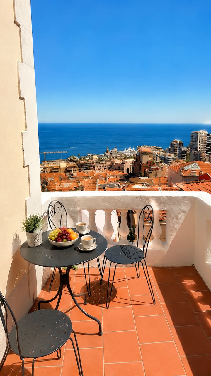 Sea View Terrace.walk To Monaco.3 - Monaco