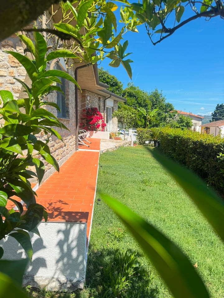 La Gerla - Camaiore