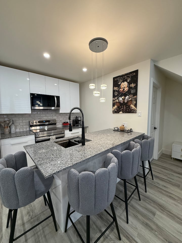 Luxury Renovated Loft. Near Dtw. Mont Royal Metro - Montreal