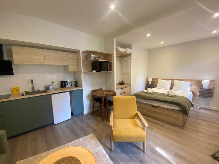 Studio Le Revard - Coeur Historique - Aix-les-Bains