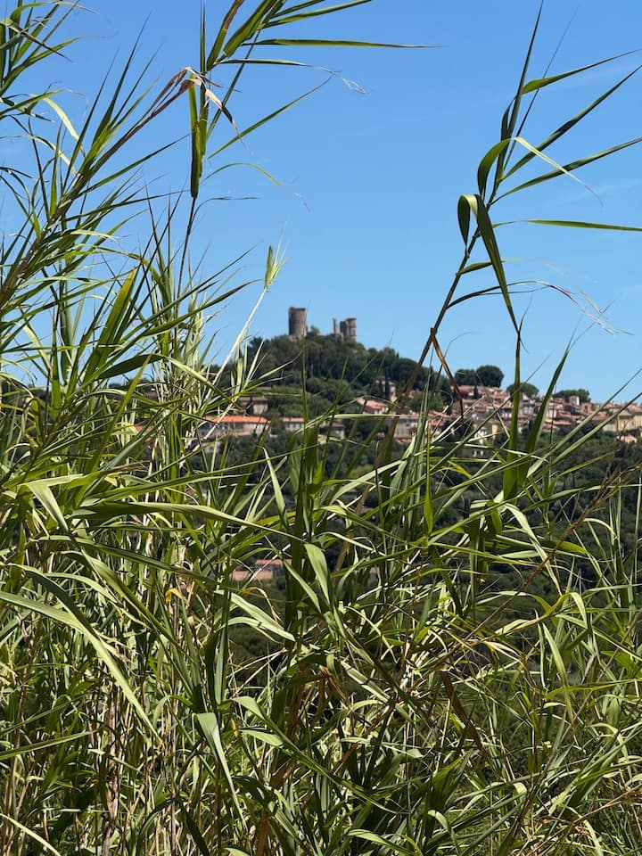 Le Golfe De Saint Tropez Version "Green Lovers". - Collobrières