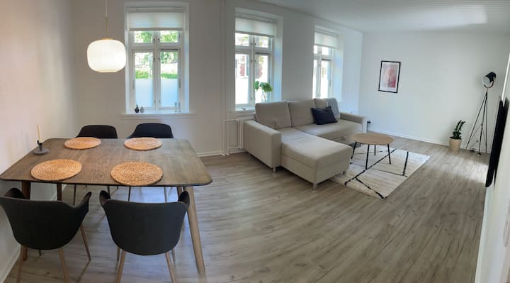 Hyggelig Lejlighed Centralt I Odense - Odense