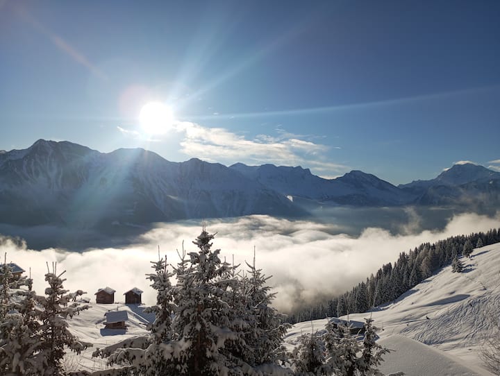 Glacier Hideaway - Bettmeralp