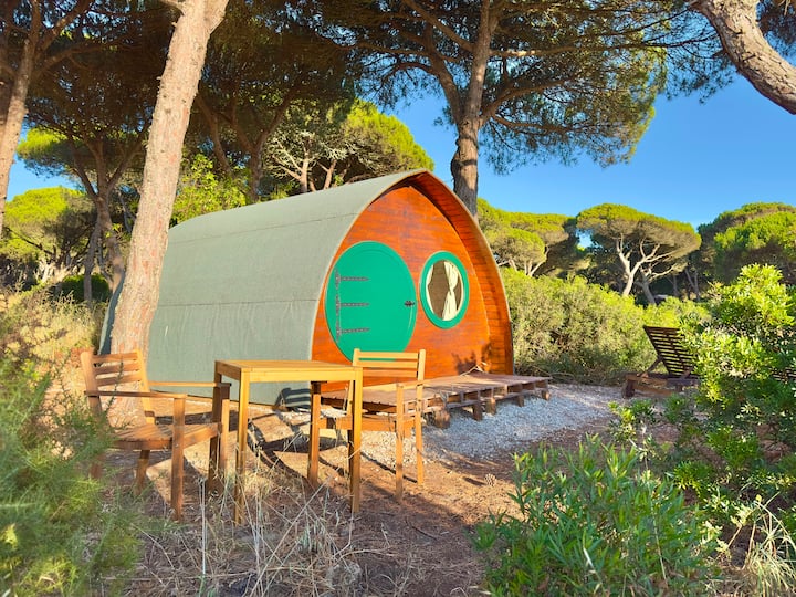 The Pines And Ocean Hobbit Pod - Sesimbra