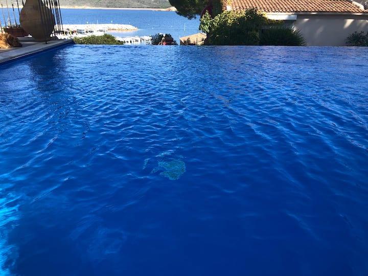 Appartement Face Mer Avec Piscine Et Terrasse - Galeria