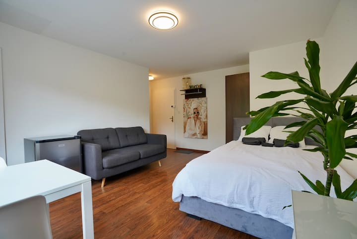 Appartement Montreux - Vevey