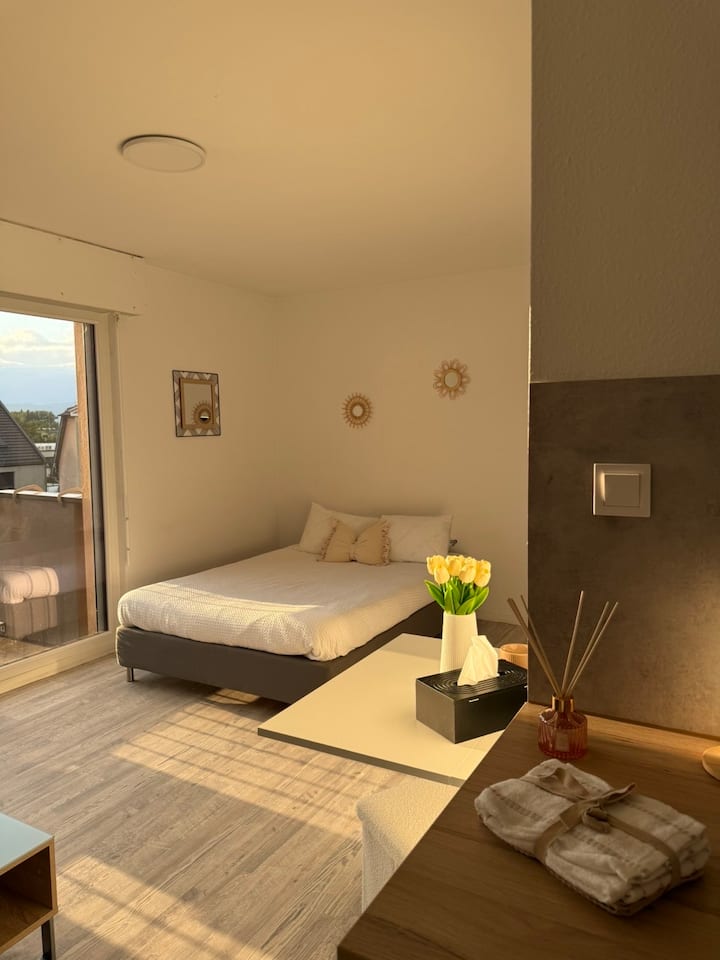 Studio Lumineux Proche De Colmar, Confort Et Calme - Horbourg-Wihr
