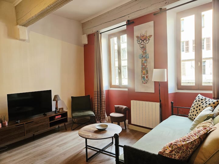 Charmant T2 40m², Centre Historique Chambéry - Ibis budget Chambéry Centre Ville
