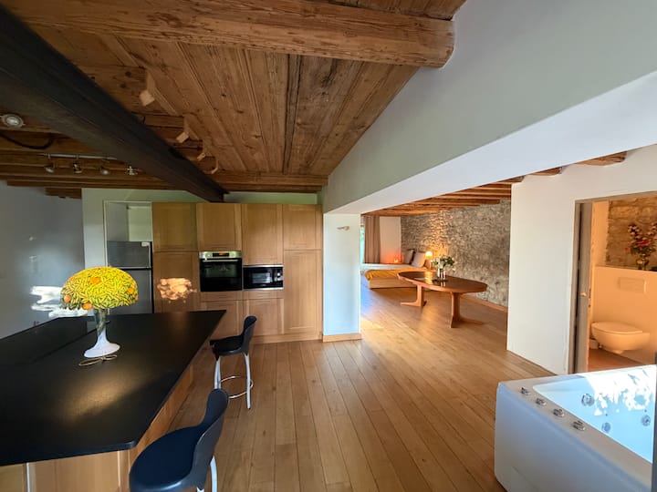Suite Spa Vue Alpes Et Jardin Proche Geneve - Saint-Julien-en-Genevois