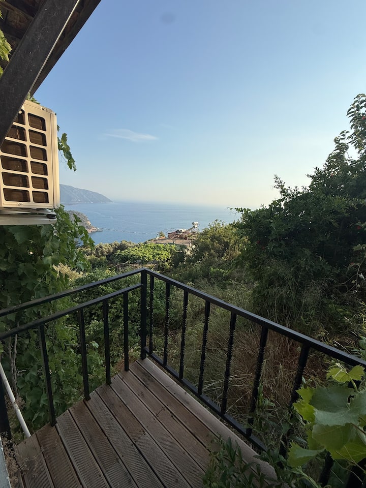 Kabak Mamma's Oda 3 - Faralya