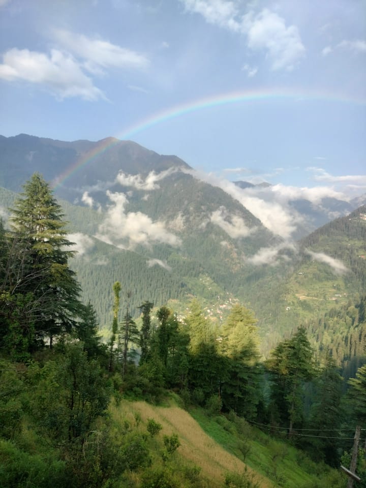 The Jibhi Nest Cottage - Jibhi