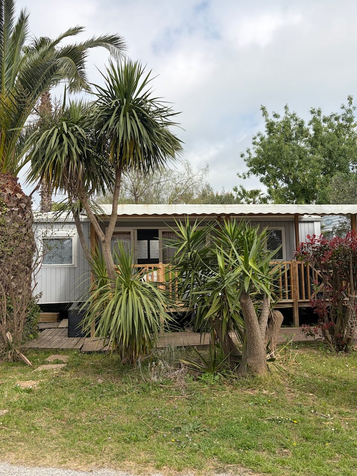 Mobilhome
Camping Del Mar Argeles/mer - Port-Vendres