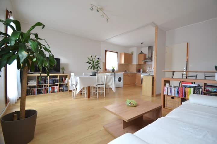 Appartement 3 Pièces Proche Paris Et Astérix - Saint-Witz