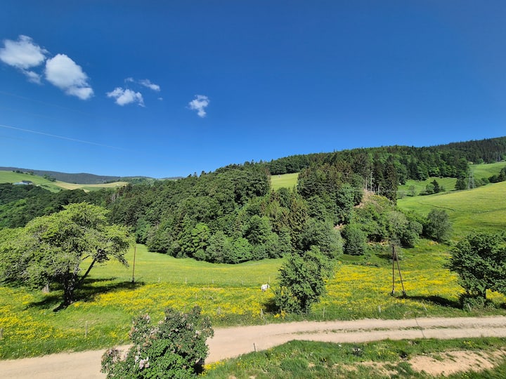 Gite Du Brézouard 7/15 Personnes - Sainte-Marie-aux-Mines