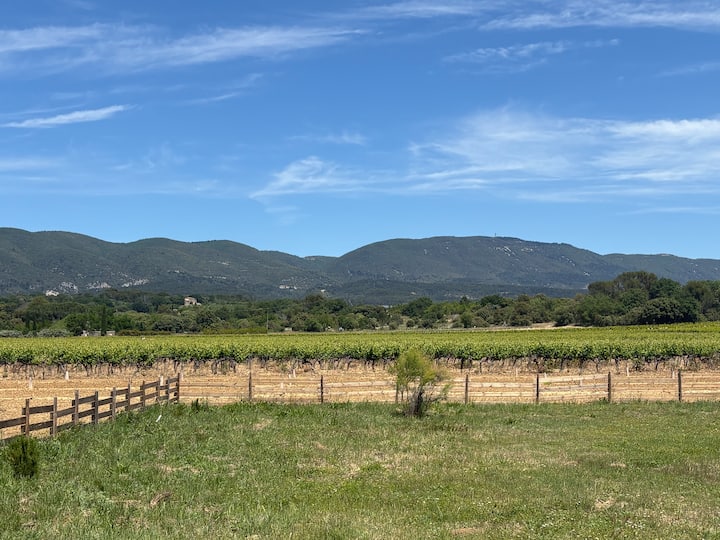Nid Provençal · Vue Imprenable Sur Le Luberon - Cucuron