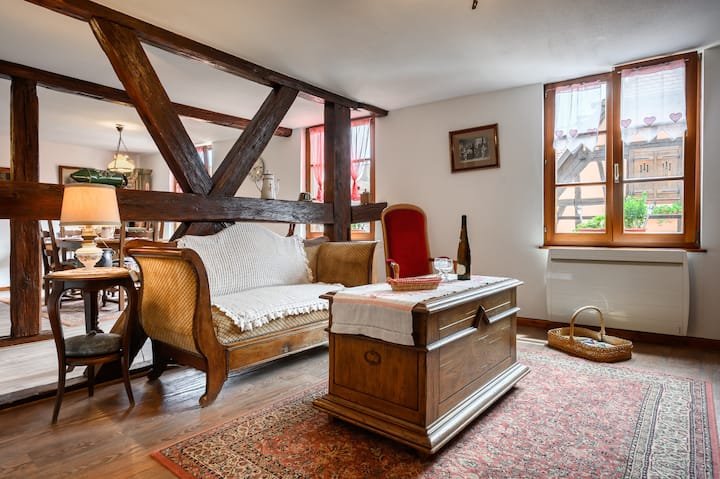 Voyage En Alsace Chez Gaby - Bergheim, France