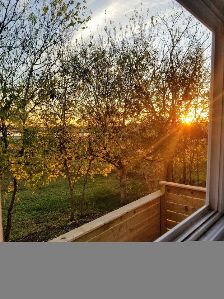 Small But Mighty One Bedroom House - San Marcos, TX