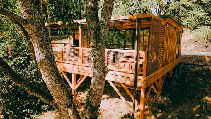 Chalet Canopée - La Casa Baccata - Sarlat-la-Canéda