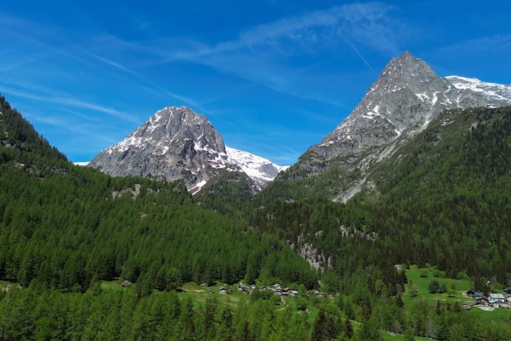 Chalet Montet Forest River Garden Lodge - Vallorcine