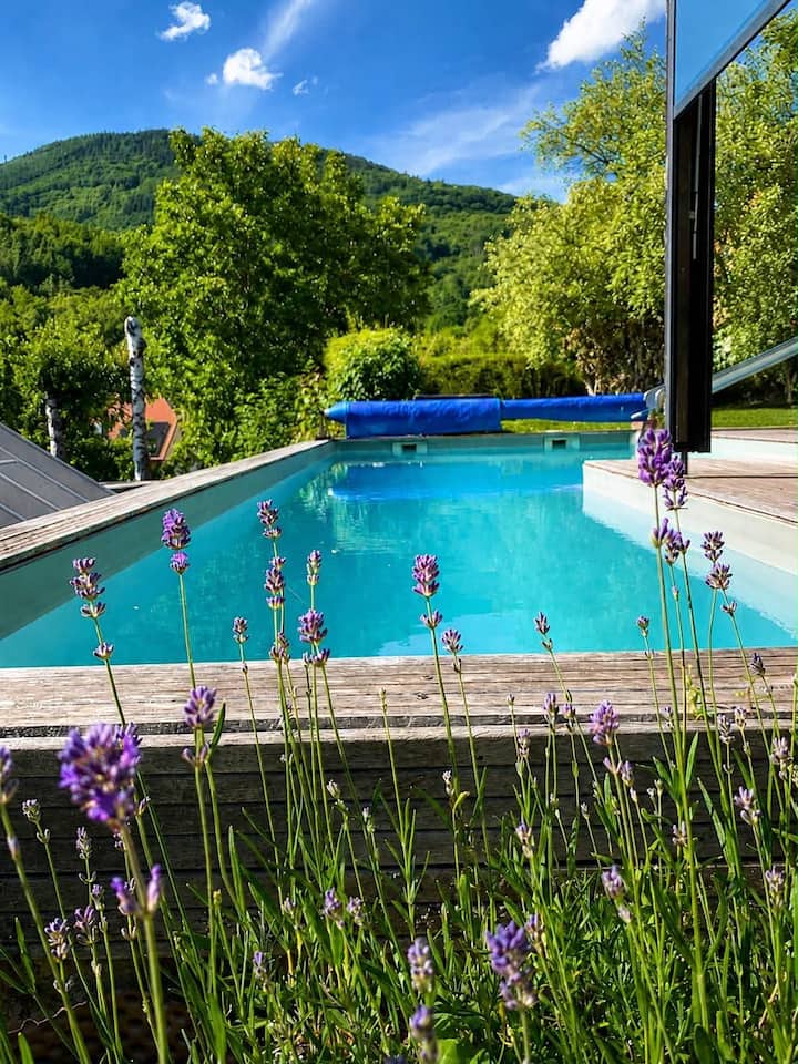 Jacuzzi Piscine Animaux Nature - Champ du Feu