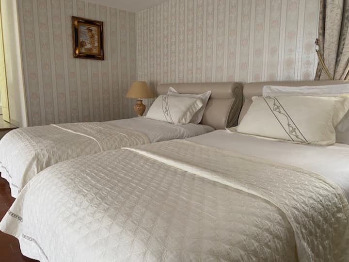 Le Relais Des Hirondelles-hortensia - Chaumont-en-Vexin