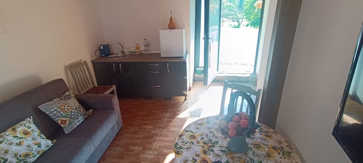 Quinta Da Figueira - Sever do Vouga