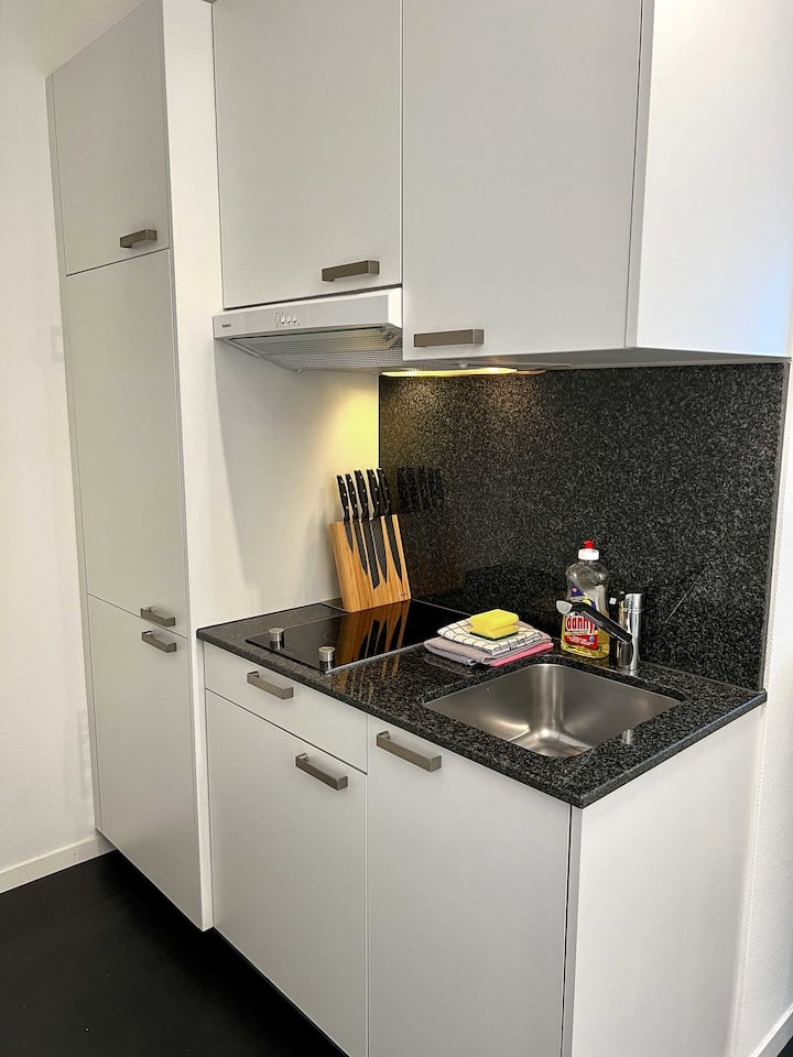 2 Room - City Center Apartment - Lucerne