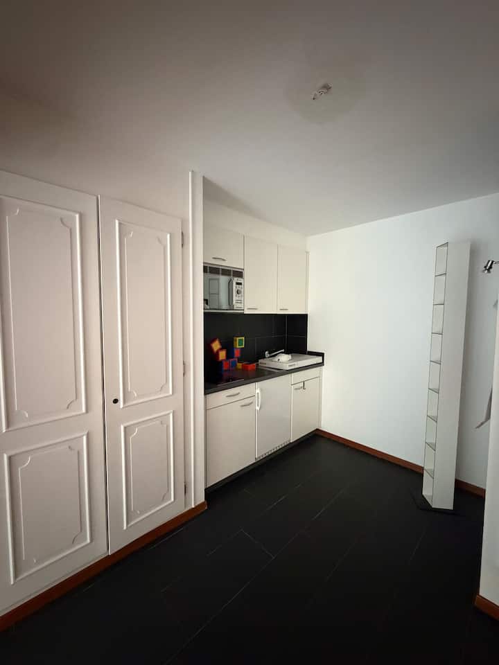 Studio Lumineux Avec Jardin Et Parking - Vevey