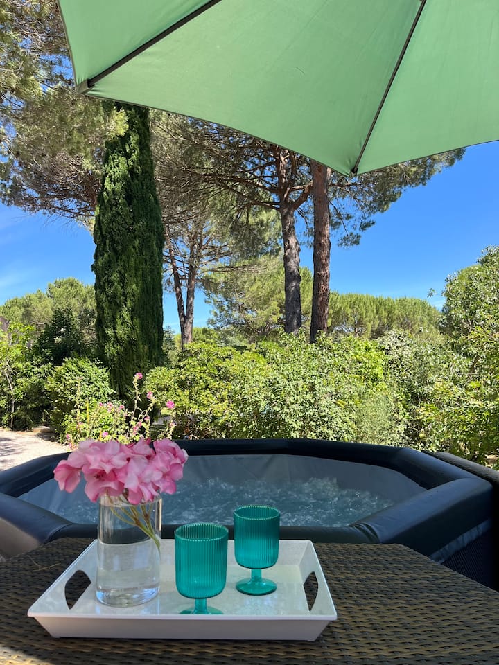 T2 La Parenthèse - Jacuzzi Et Vue Sainte-baume - Nans-les-Pins