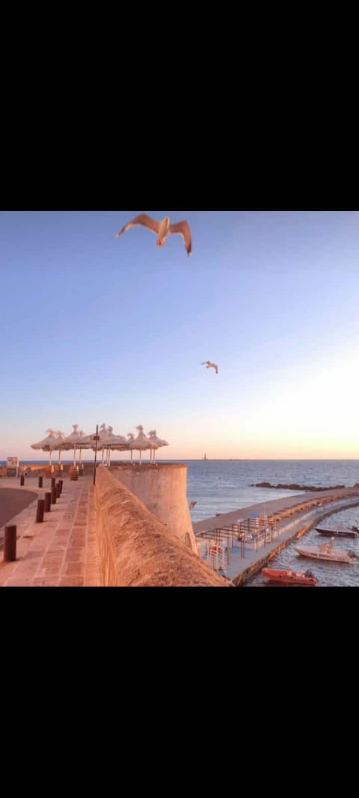 Monolocale Nel Centro Storico Di Gallipoli - Gallipoli