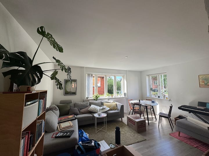 62 M2 Dejlig Lejlighed - Odense