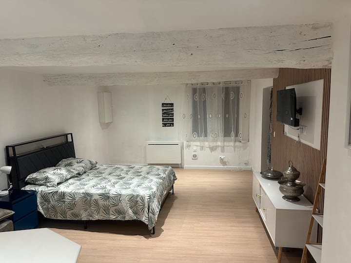 Maison Calme St Gilles - Camargue