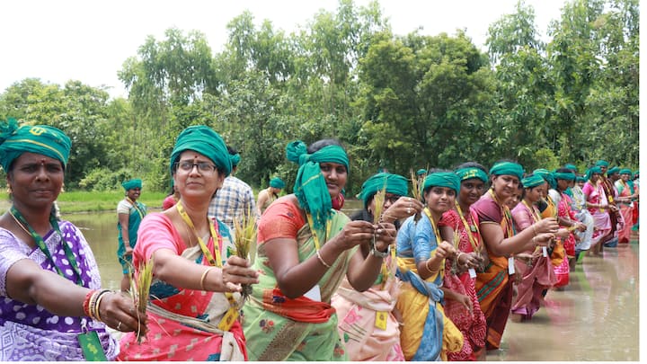 Farmshaala  A Nature Farm Retreat In Tiruttani - Thiruttani