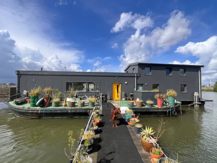 Large, Homely Houseboat In Amsterdam North - Ámsterdam