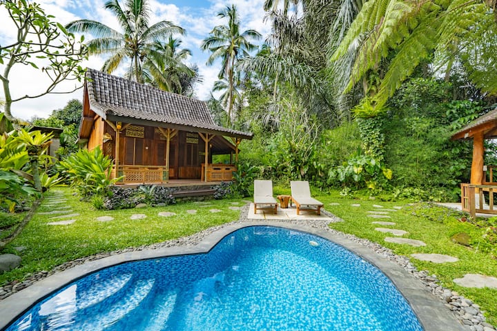 Wooden Private Pool Villa With Jungle View - Bali