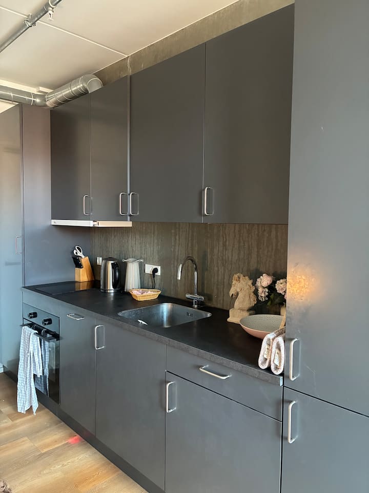 Studiolejlighed I København - Kopenhag