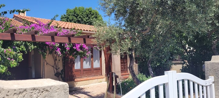 Le Jardin Des Agrumes - Istres